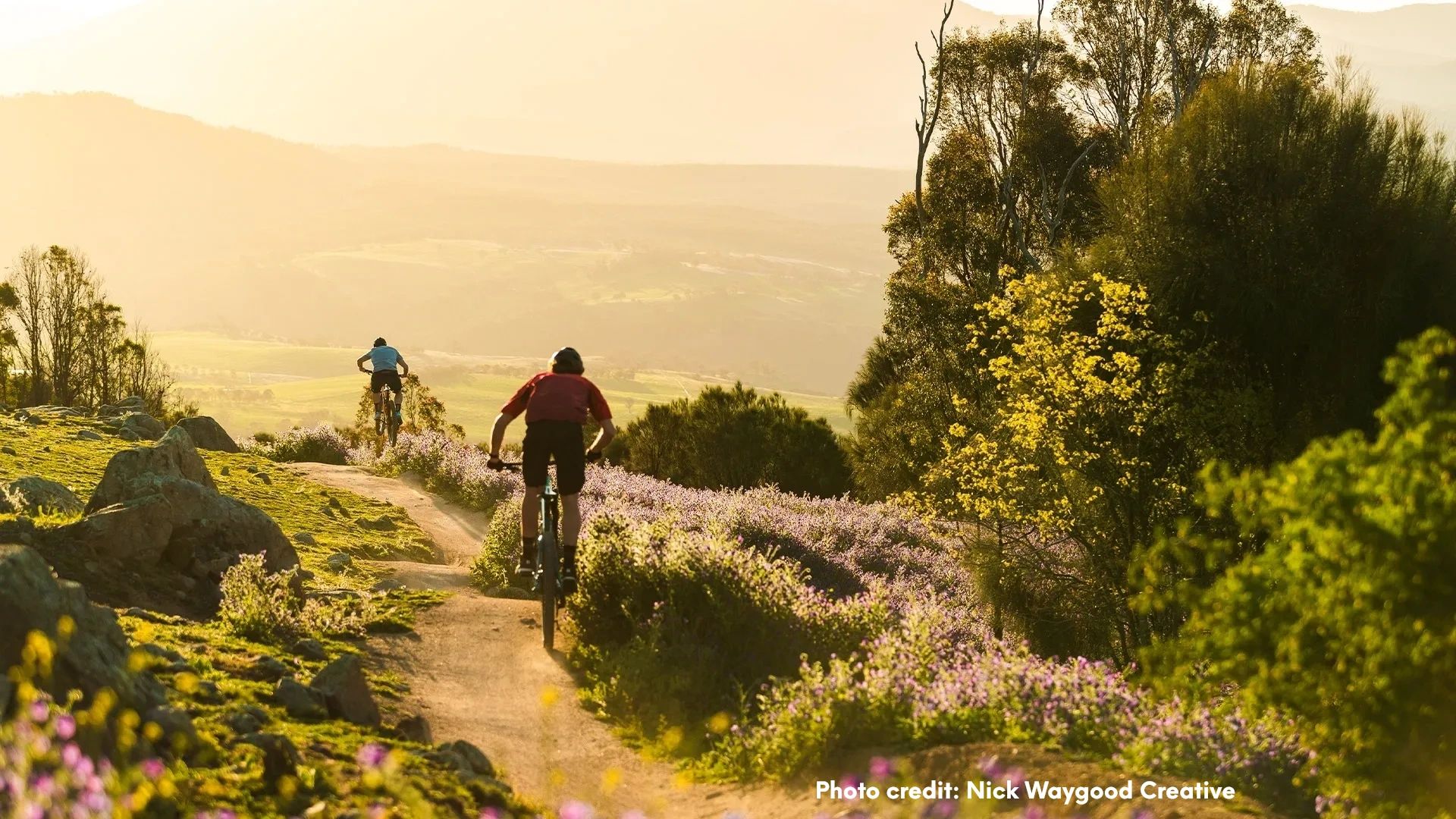 Explore mountain biking and cycling trips to Canberra