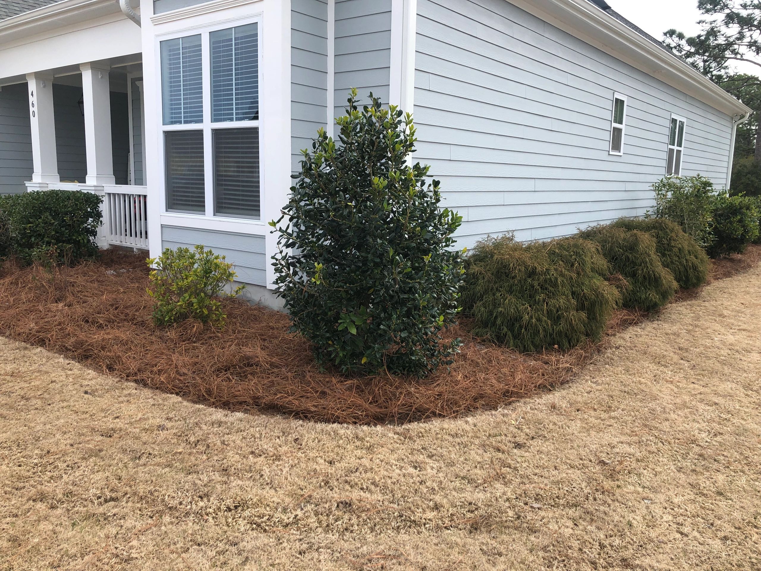 A Step-by-Step Guide to Installing Long Leaf Pine Straw