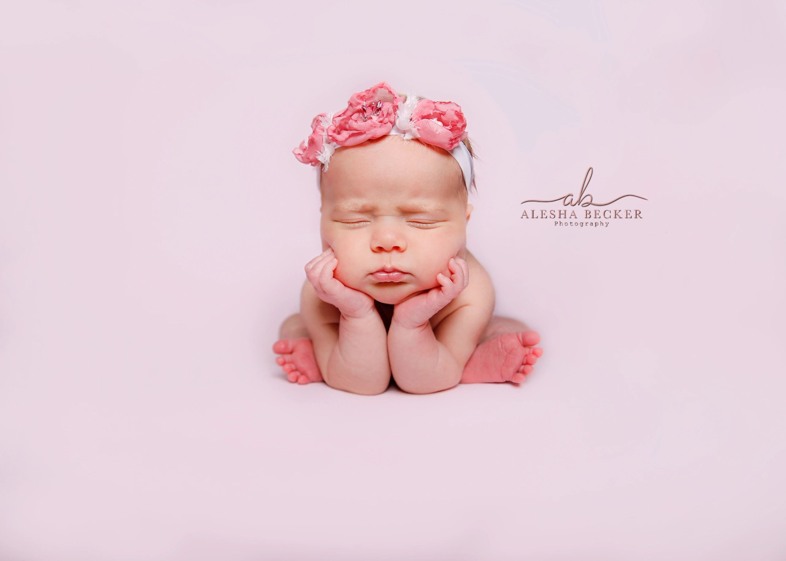 Aleshabeckerphotography