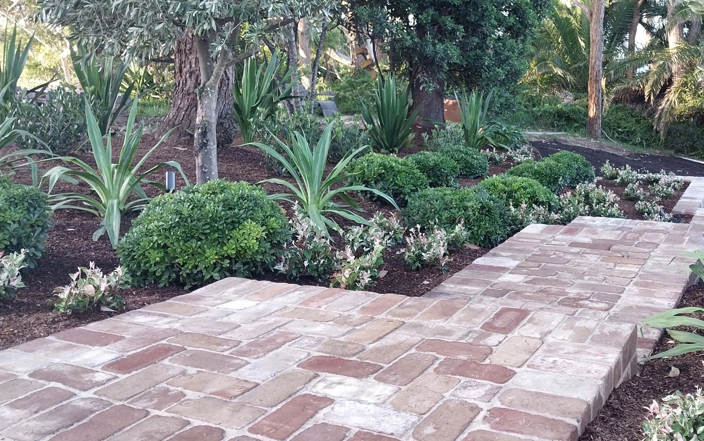 About Us | Stellar Landscapes