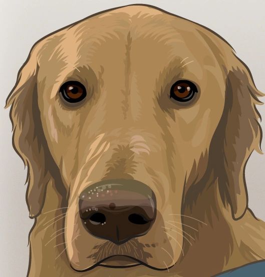 Patrick Welsh Illustration - Illustration, Graphic Design