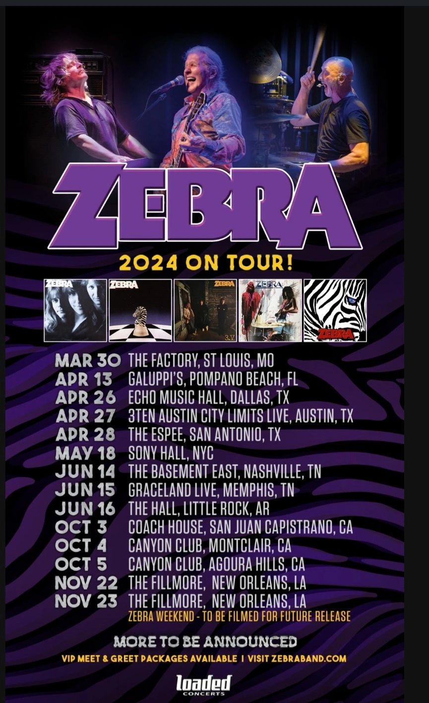 ZEBRA TOUR 2024