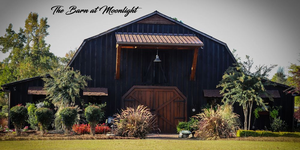 Moonlight Stables GA