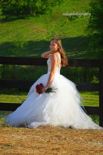 Moonlight Stables GA