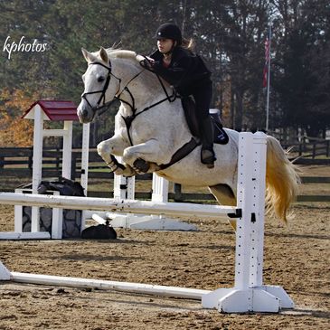 Moonlight Stables GA