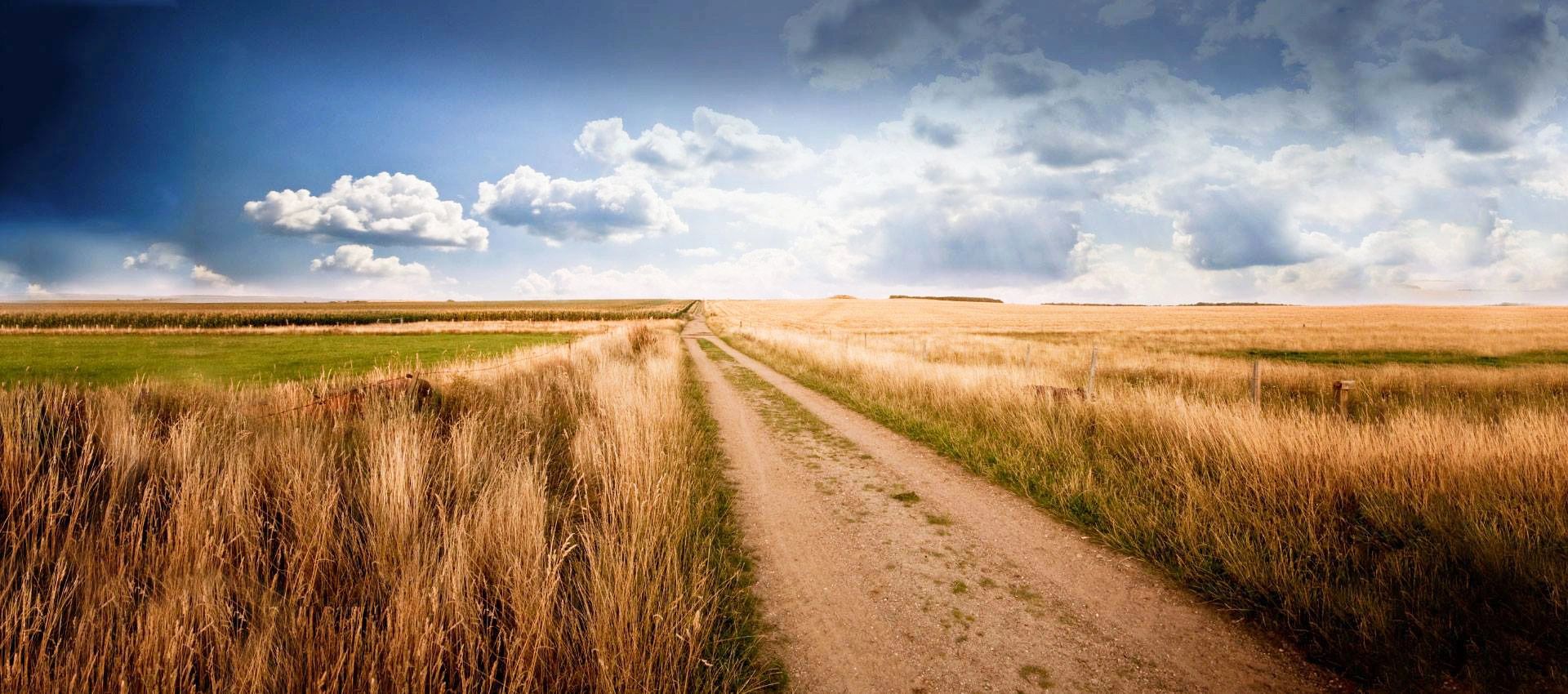 Cyber Insurance - BeaconPath