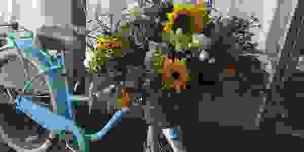 Wild and Free Event Decor