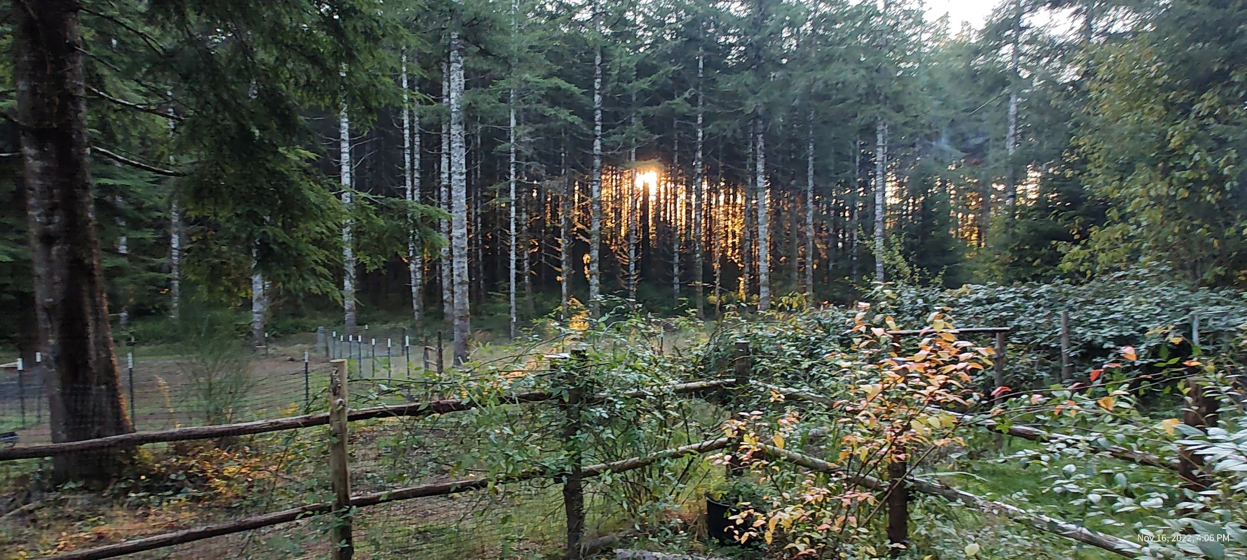 Tall Timbers Farm - Csa, Adopt a Lamb, Wool, Eggs, Vegetables