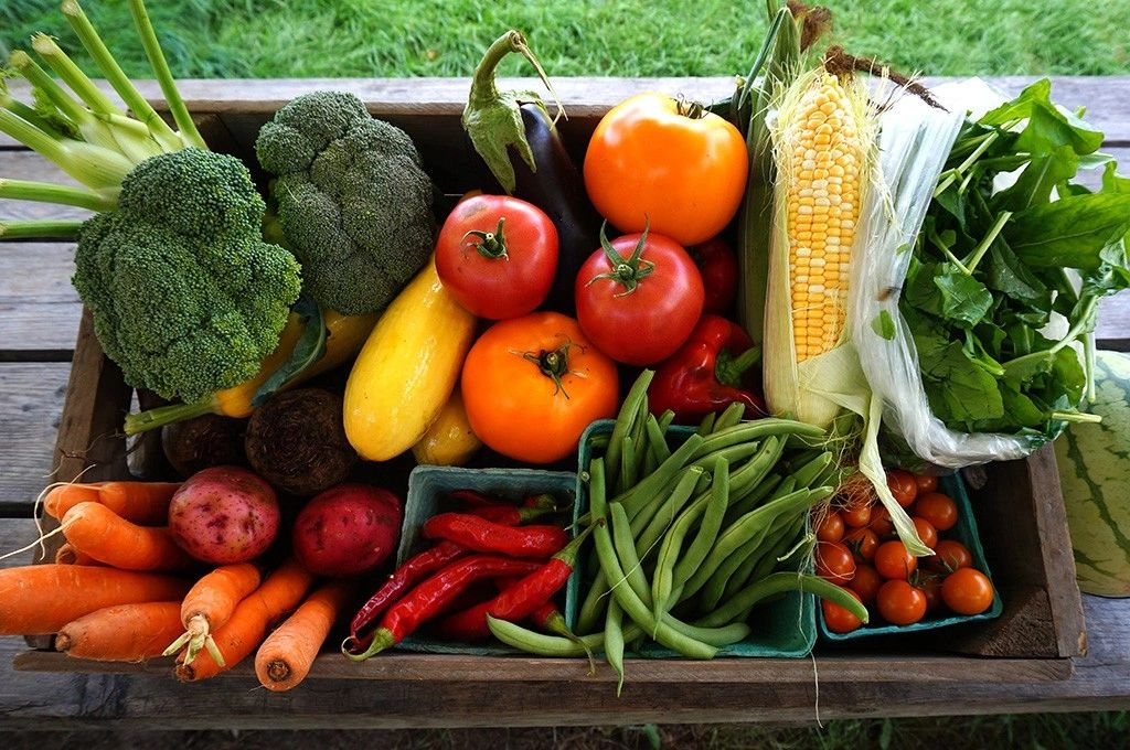 Tall Timbers Farm - Csa, Adopt a Lamb, Wool, Eggs, Vegetables