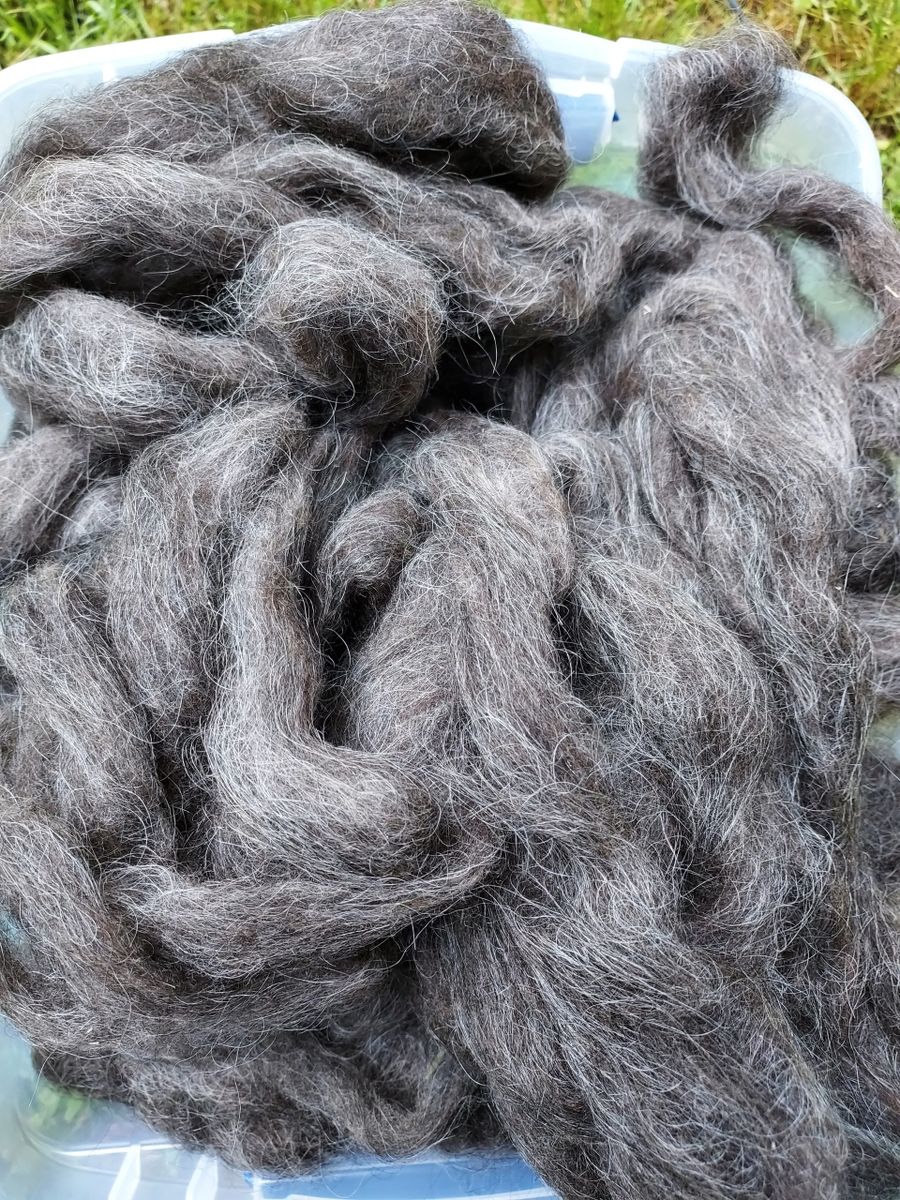 Icelandic Wool Roving- 4 oz Dark Brown/grey "Merida"