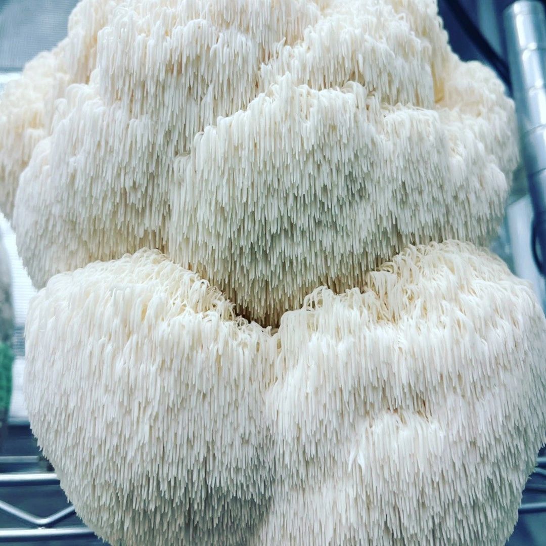 Farmers Markets & Events