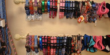 Pippa's Closet