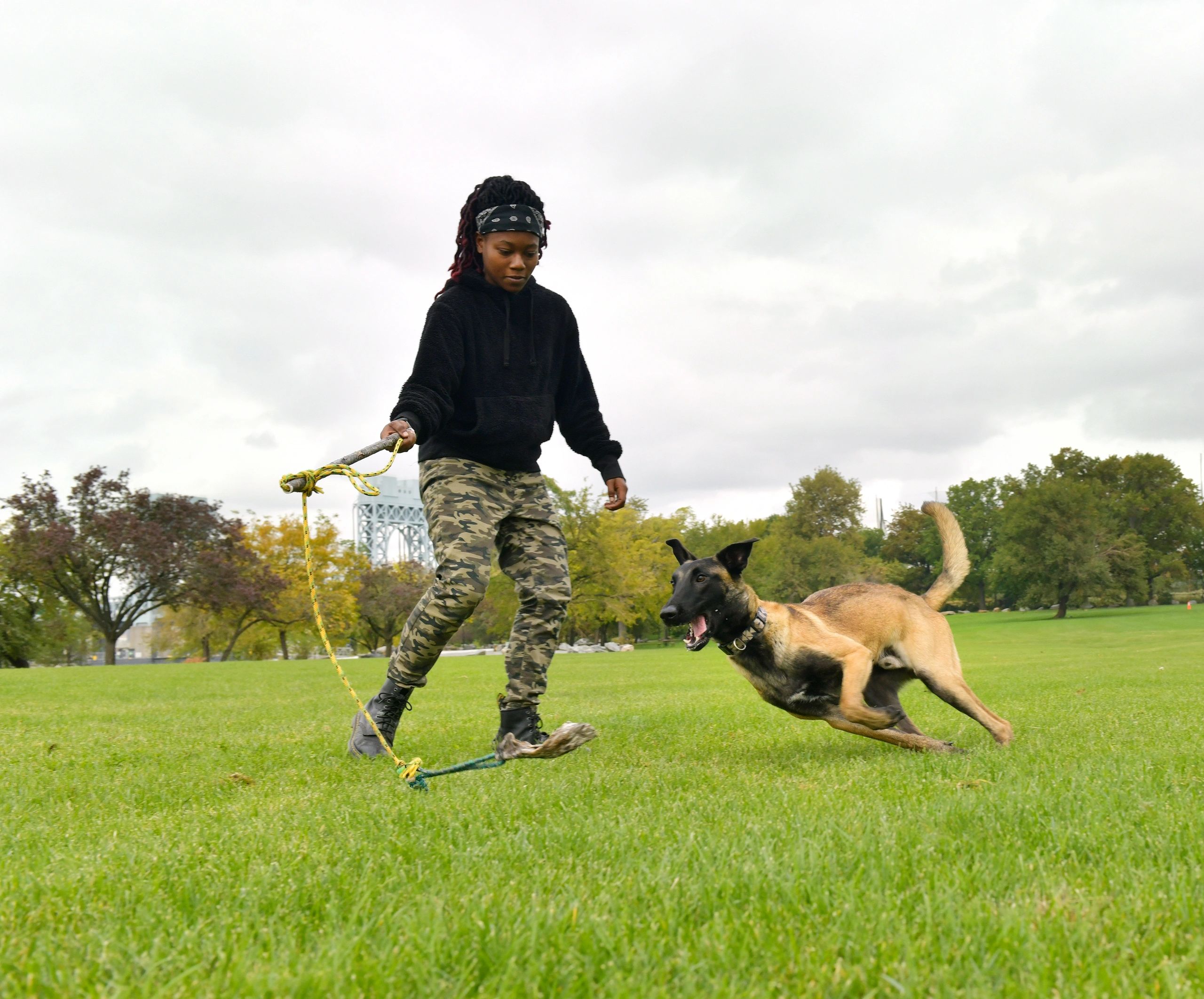 My Canines Keeper - Pet Service, Dog Training, Pet Supplies