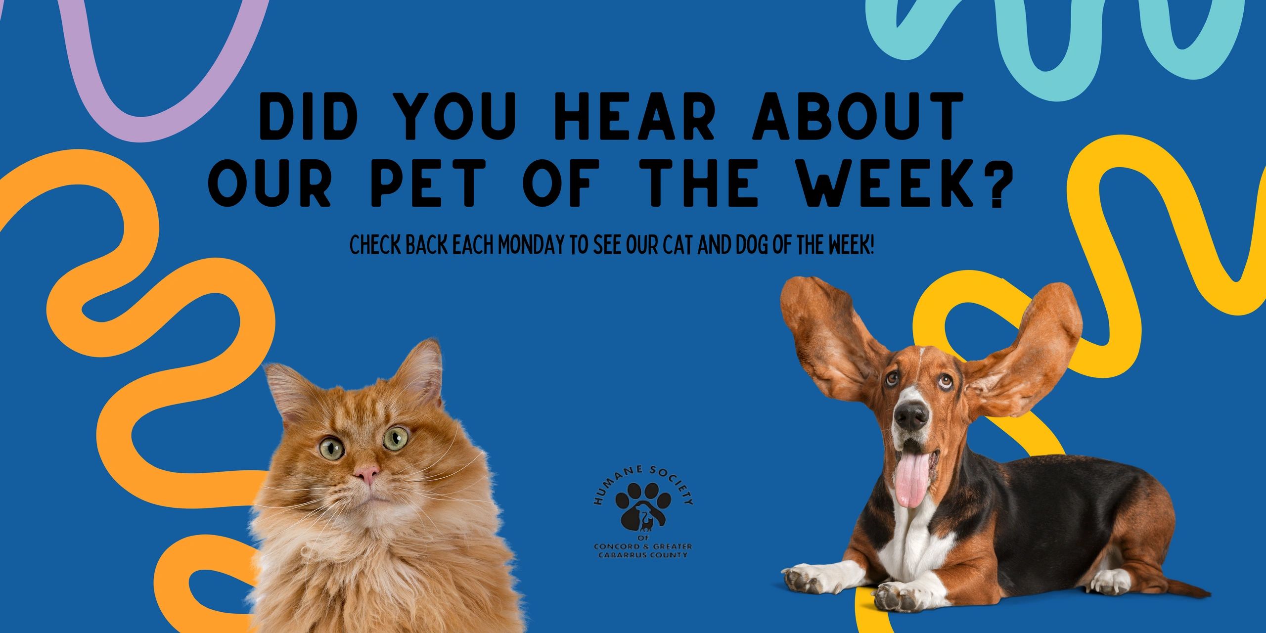 Humane Society of Concord & Greater Cabarrus County - Home