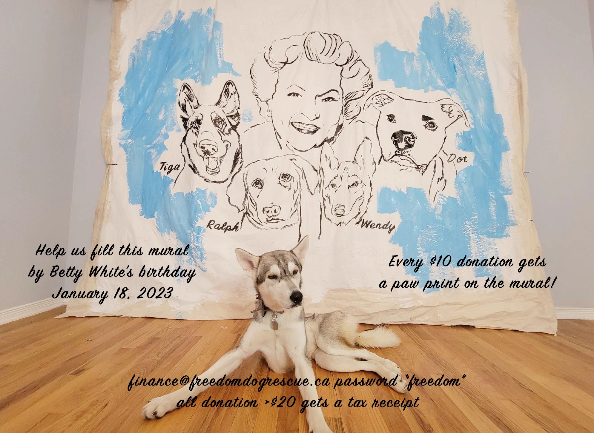 HOME [freedomdogrescue.ca]