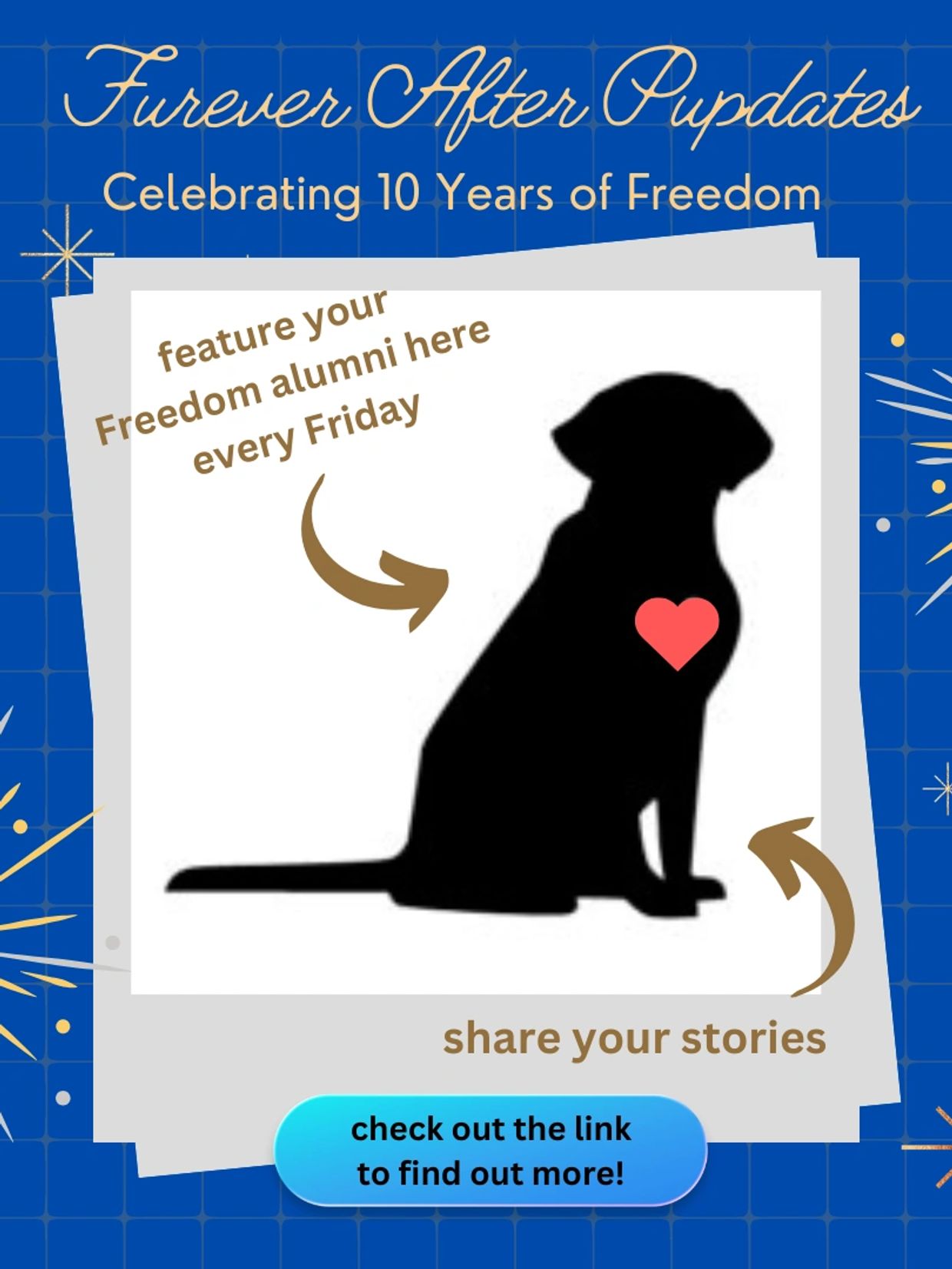 HOME [freedomdogrescue.ca]