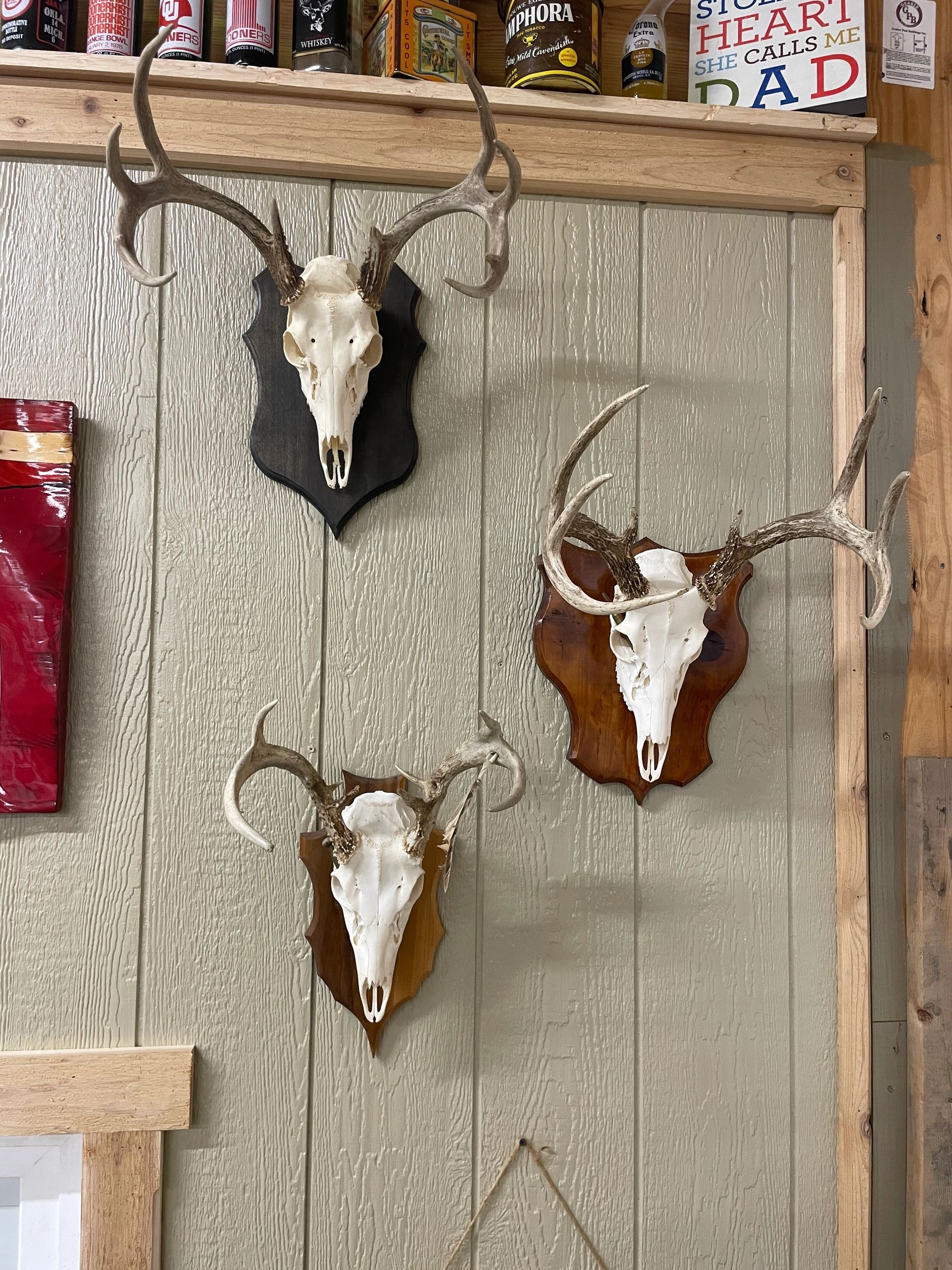 Arrowhead Skulls