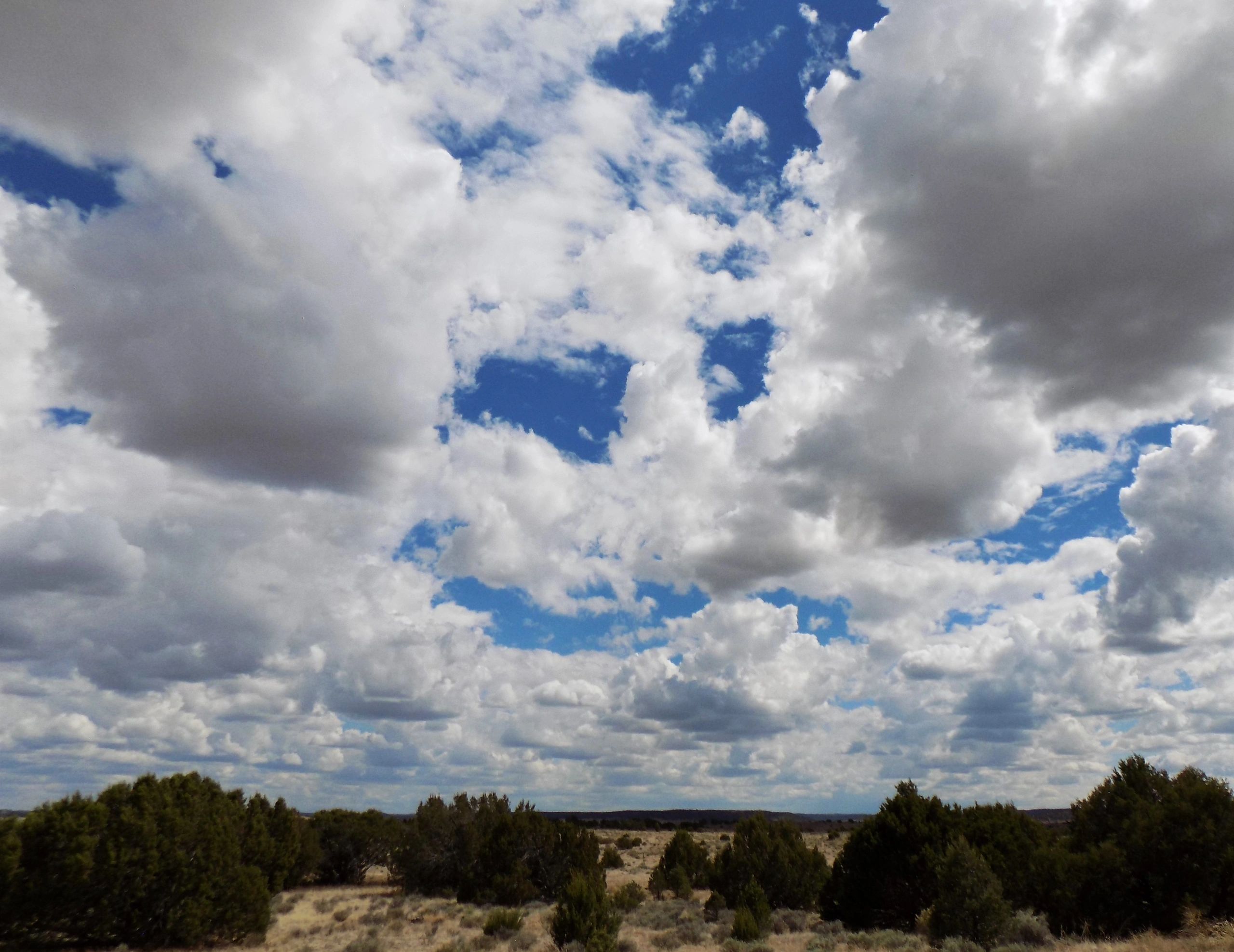Zuni Mountain Trader