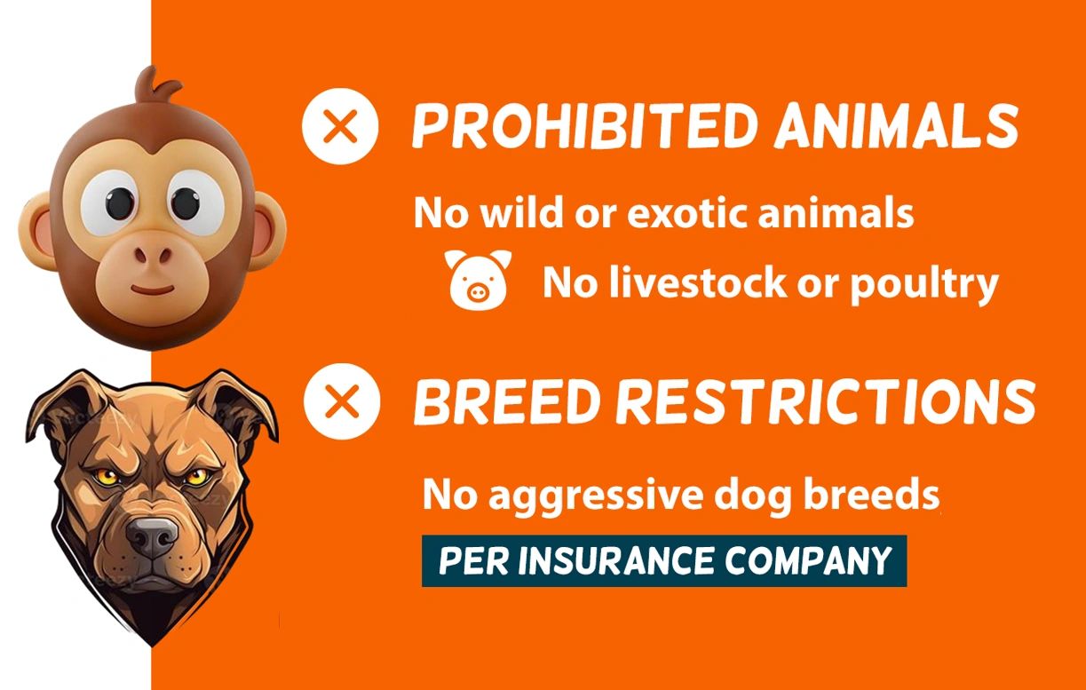 Animal Rules Infographic