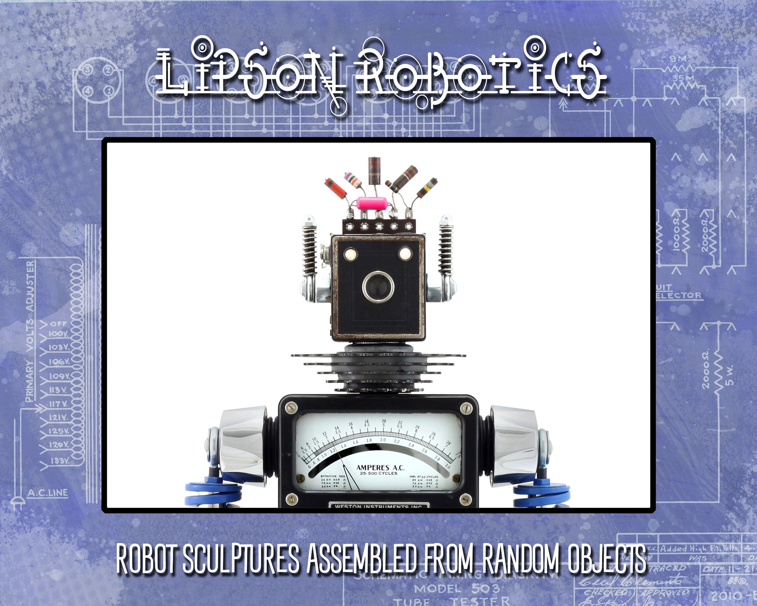 Lipson Robotics