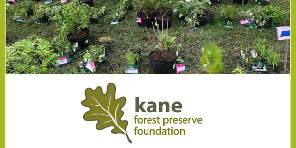 Kane Forest Preserve Foundation - Forest Preserve - Geneva, Illinois