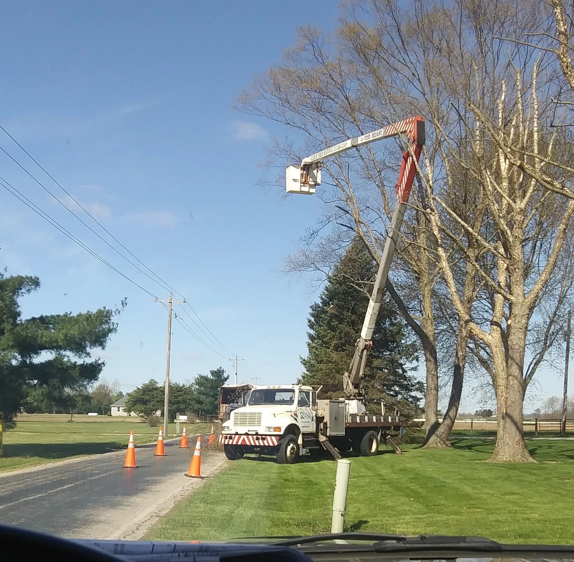 Tree Service, Tree Removal - Reece Tree Service - Whiteland, Indiana
