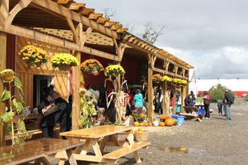 Dixie Orchards - Pick Your Own Fruit, Apple Orchard