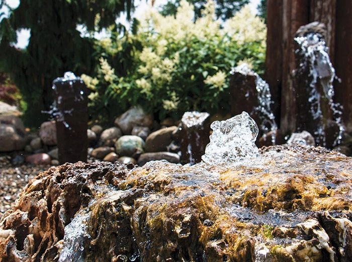 The W.E.T.S. Method for Diagnosing Water Loss