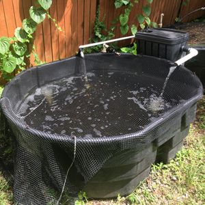 DIY Quarantine Tank