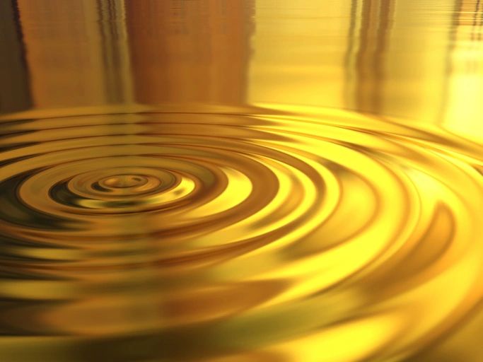 Gold Standard Insurance Services - Premium Finance