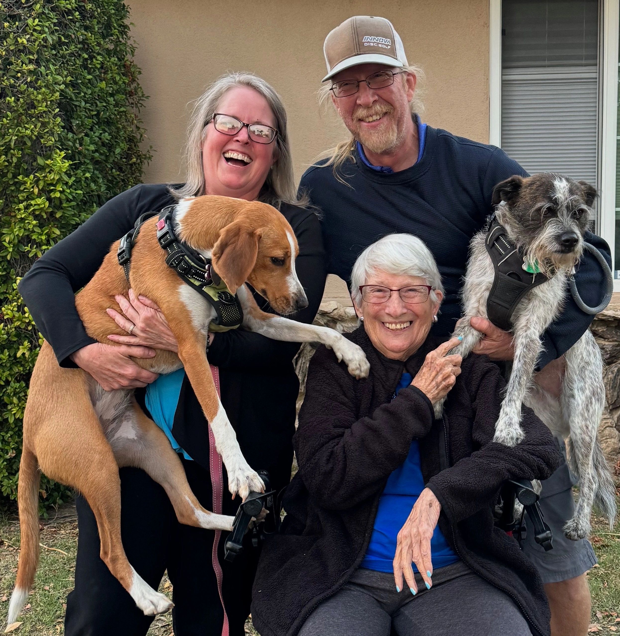 Debilyn's American Future