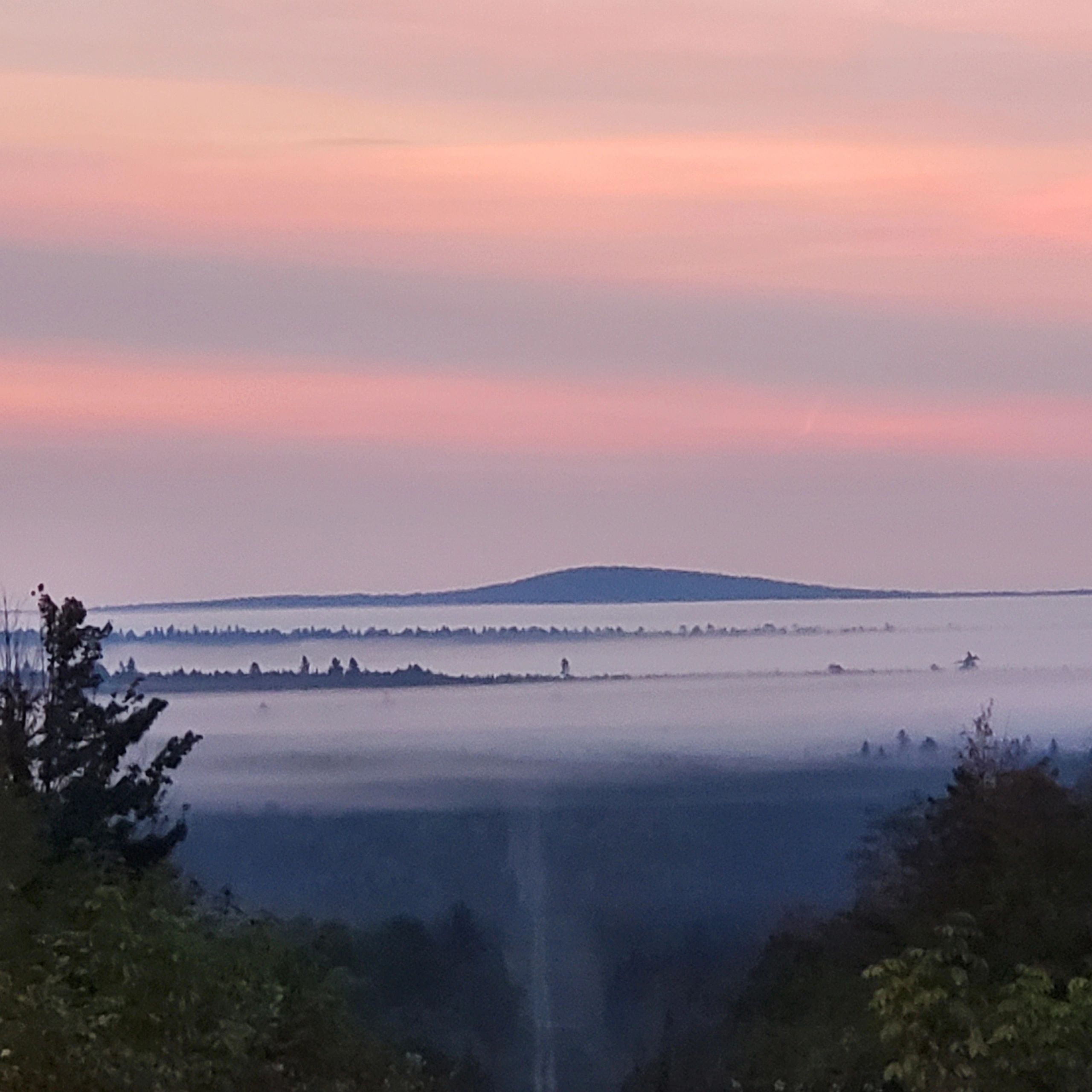 New Hampshire Bear Hunting Outfitters - Expert Guides