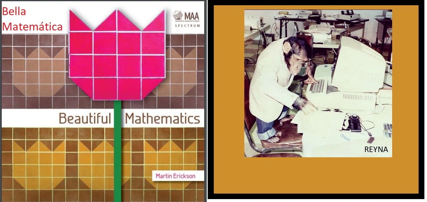Bella Matemática