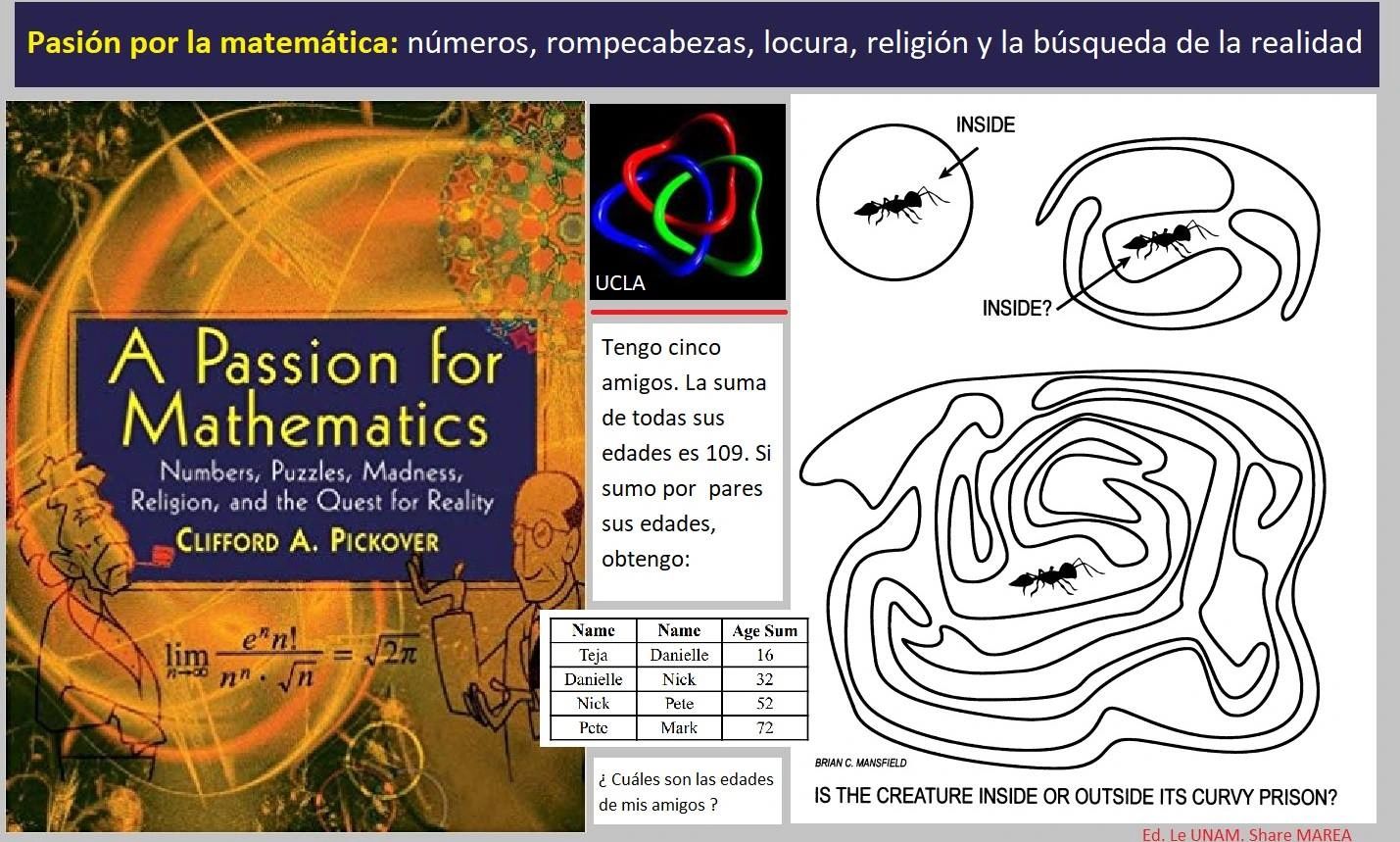 A passion for mathematics.