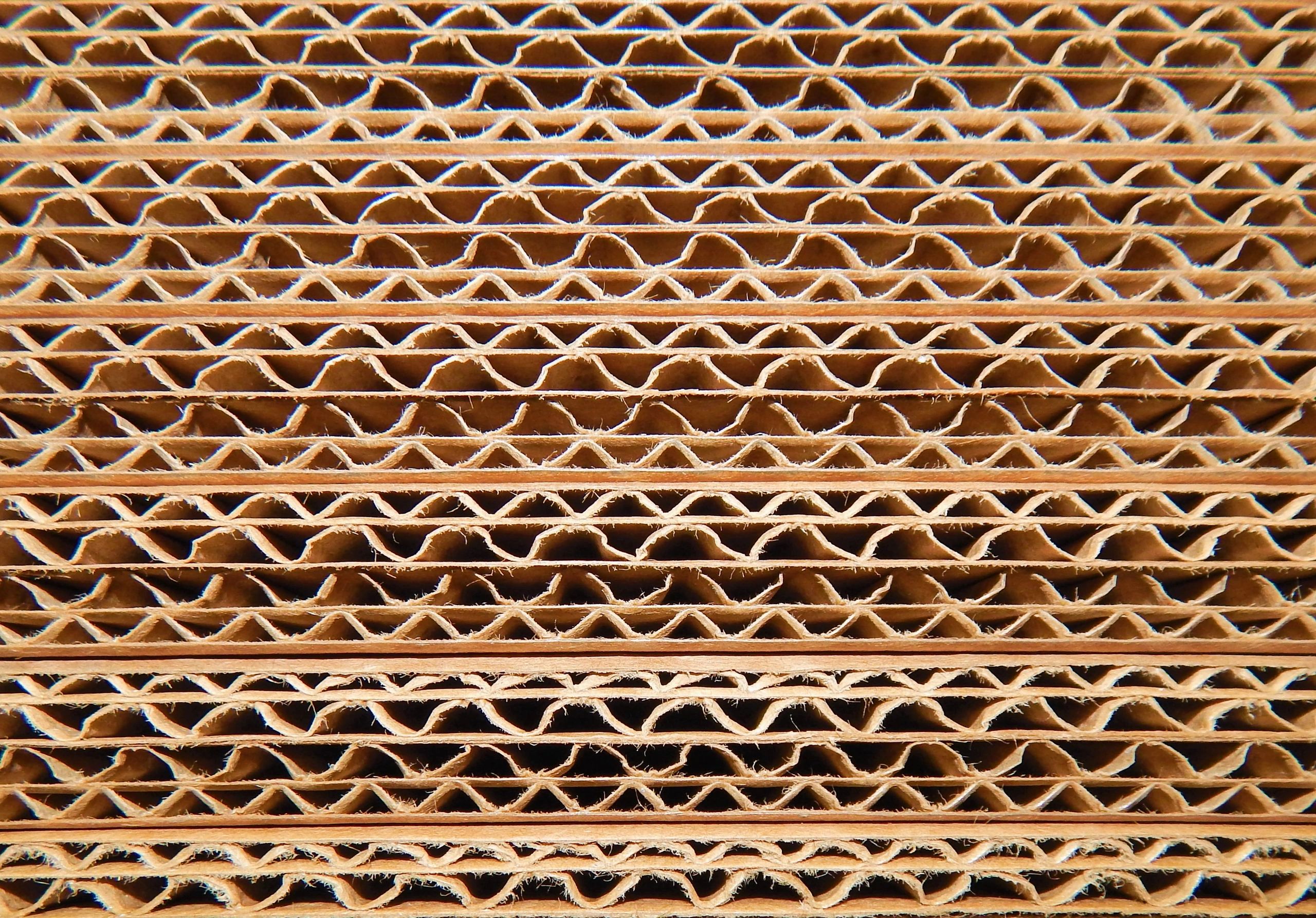 Champion Container - Corrugated Boxes