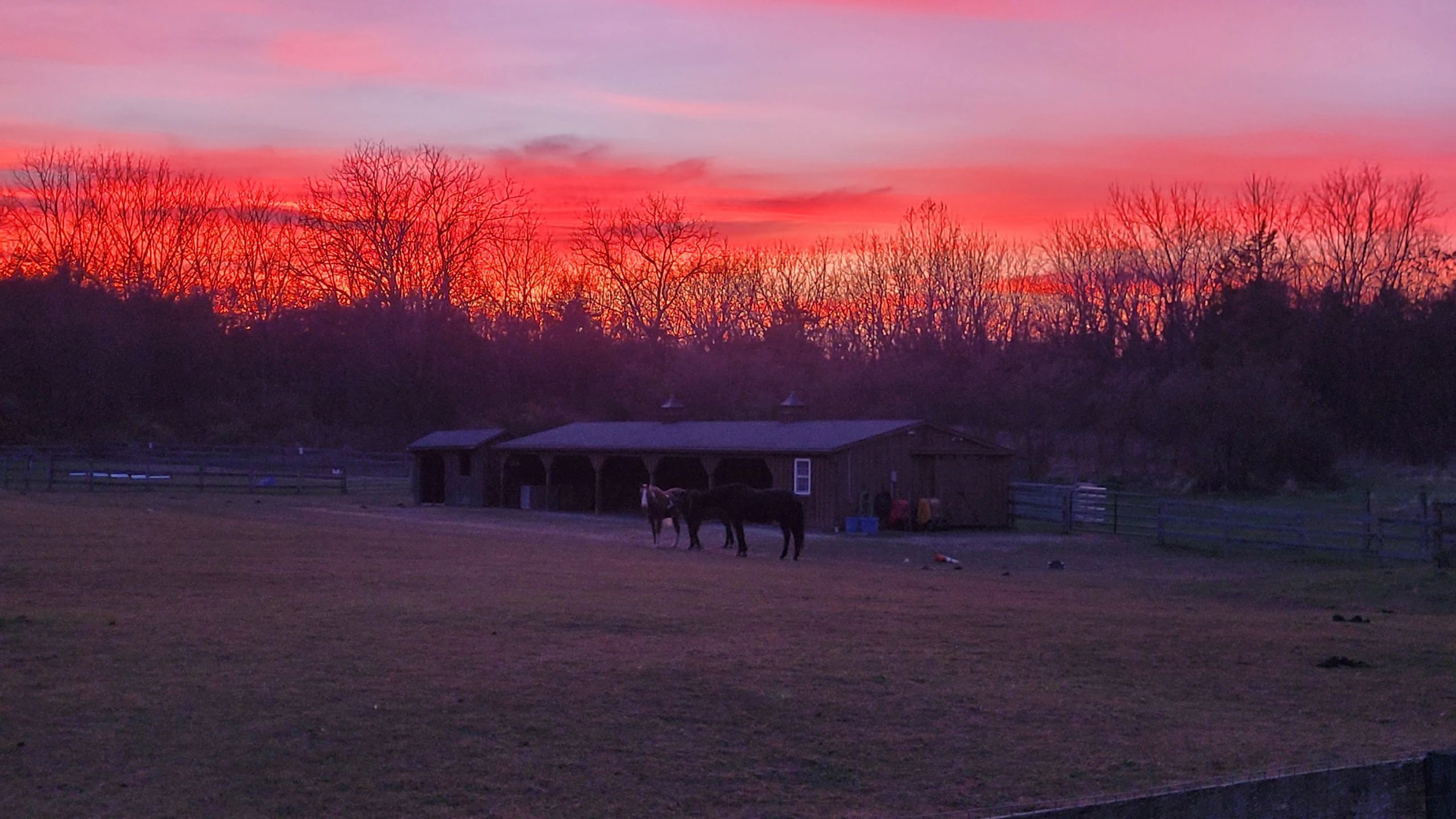 Healing Through Horsemanship | Equine Learning | 2nd Chance Farm EAL