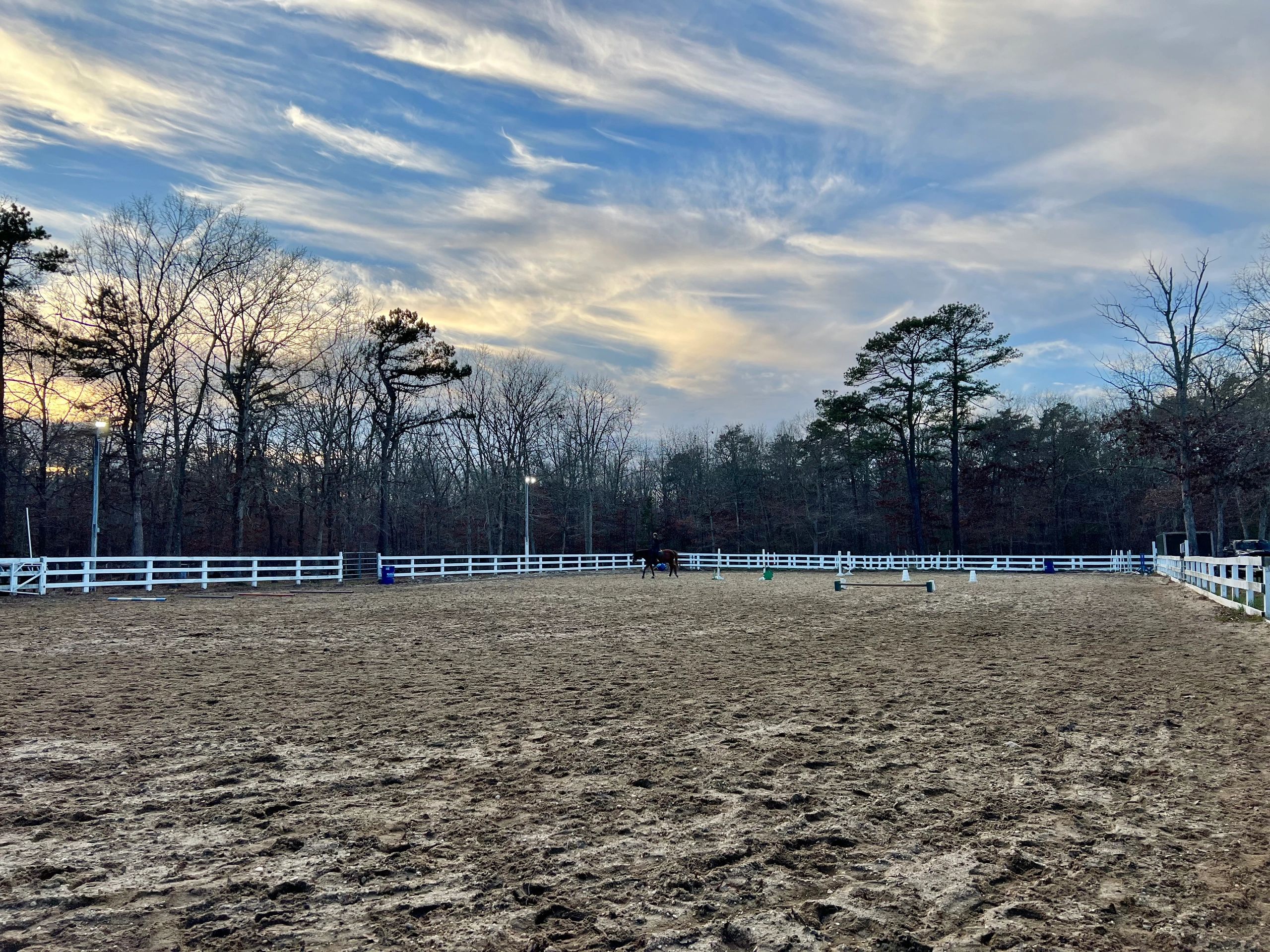 Ocean Equine Training LLC