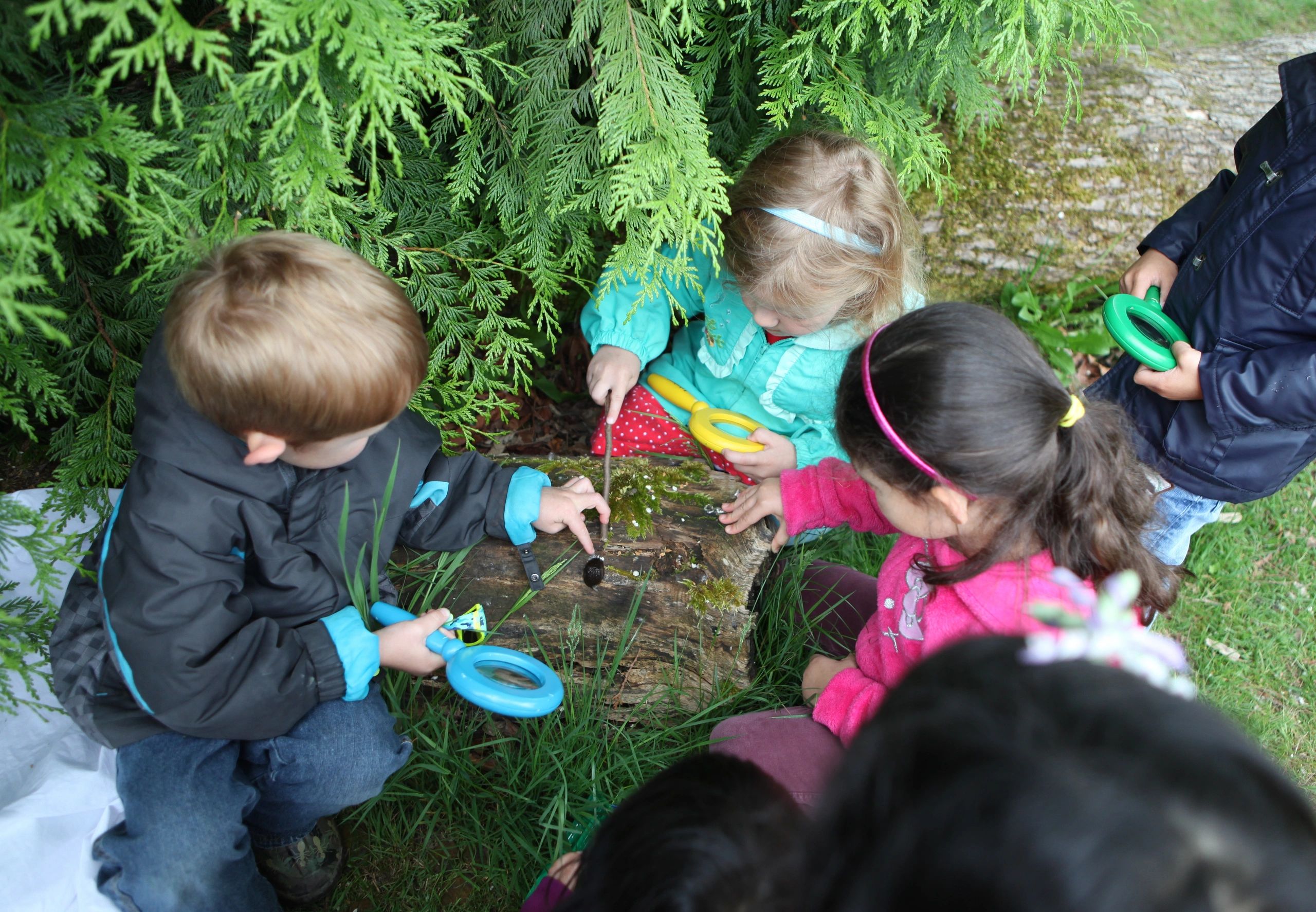 Natural Start Preschool - Nature Preschool, Outdoor Preschool, Bellevue