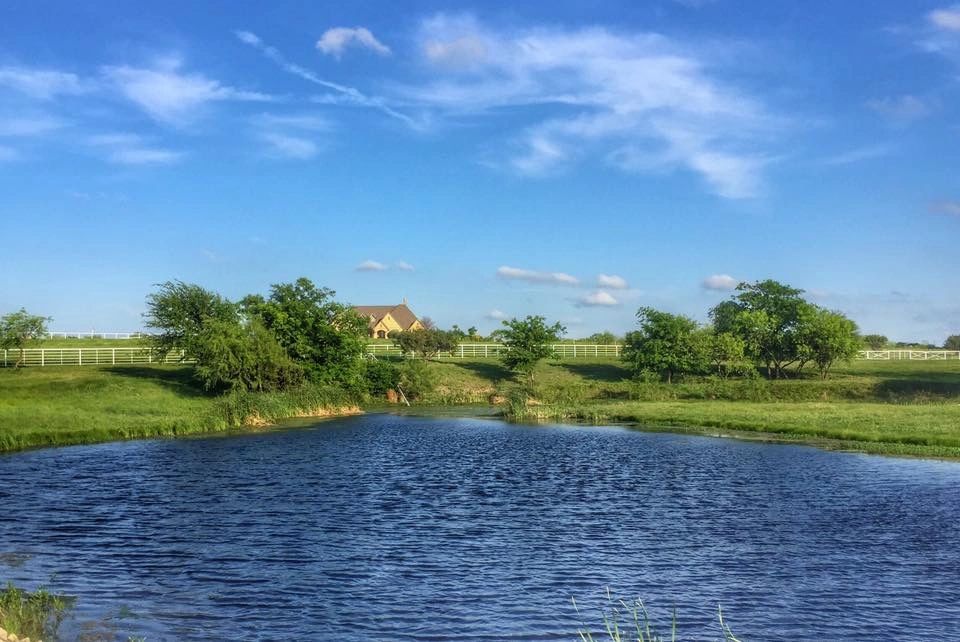 Horse Boarding - Martin Ranch | Martin Ranch