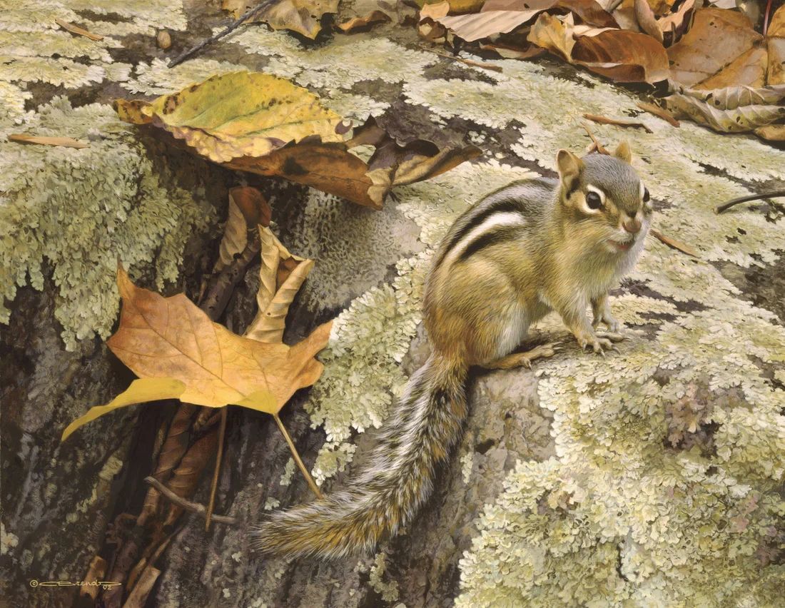 ORIGINAL PAINTINGS | carl brenders art