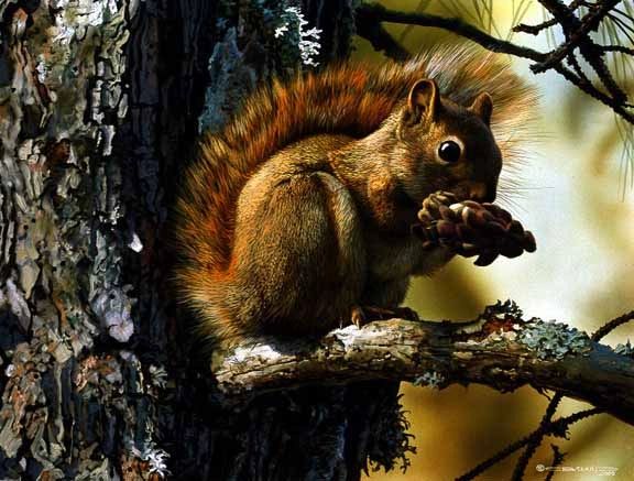 Picnic Perch – Red Squirrel, (2000) A/P