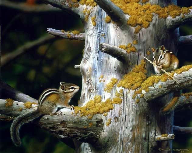 Playful Pair – Chipmunks, (1984) A/P#4/56