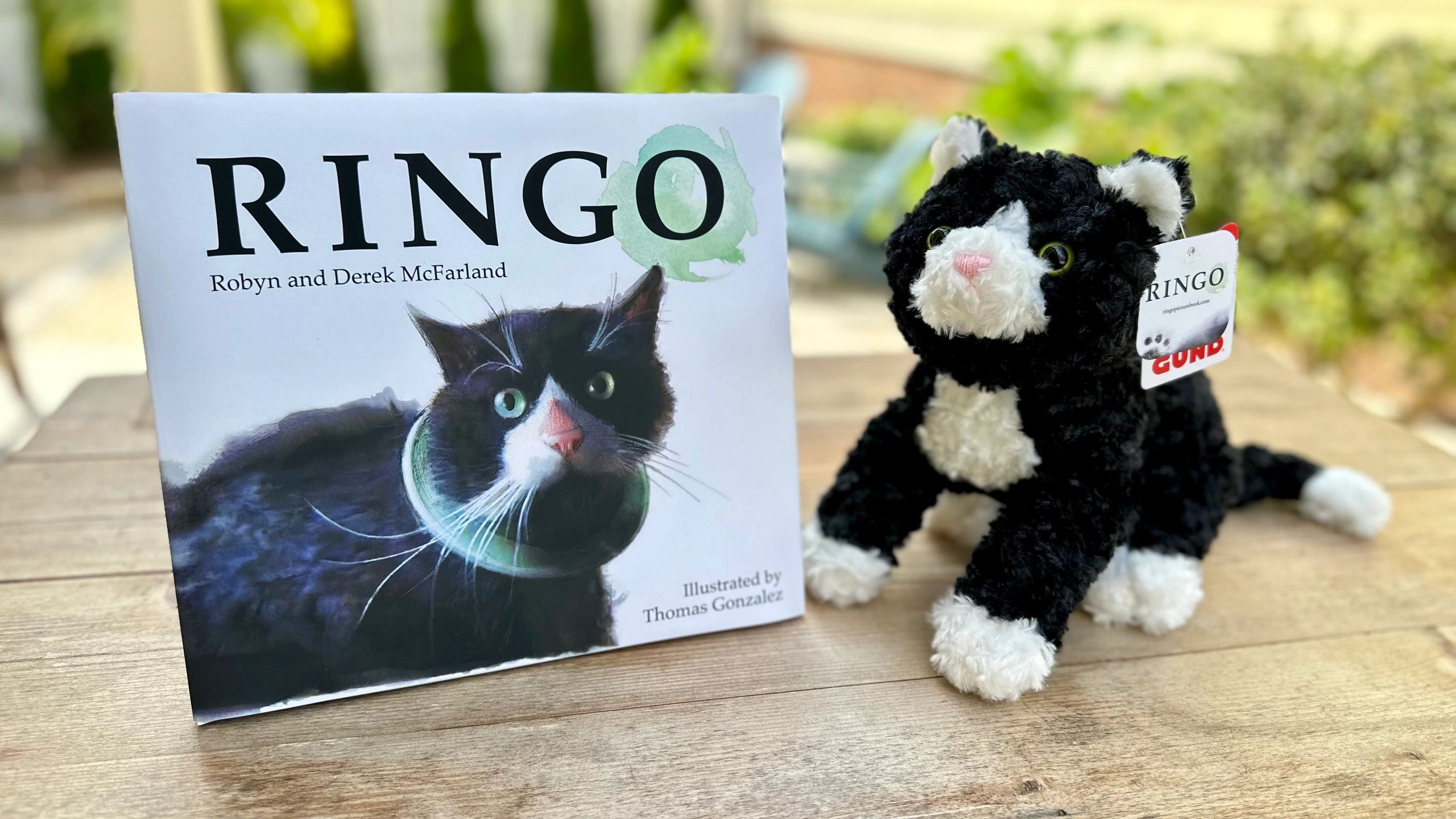 Ringo Picture Book