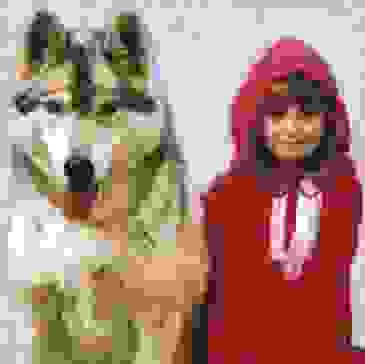 Villalobos Rescue Center