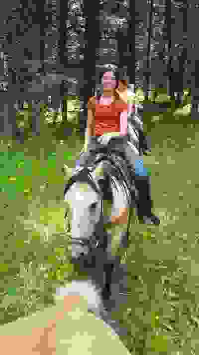 Life at Horse Camp - Meadow Vue Ranch | meadow vue ranch