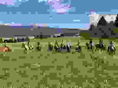 Life at Horse Camp - Meadow Vue Ranch | meadow vue ranch