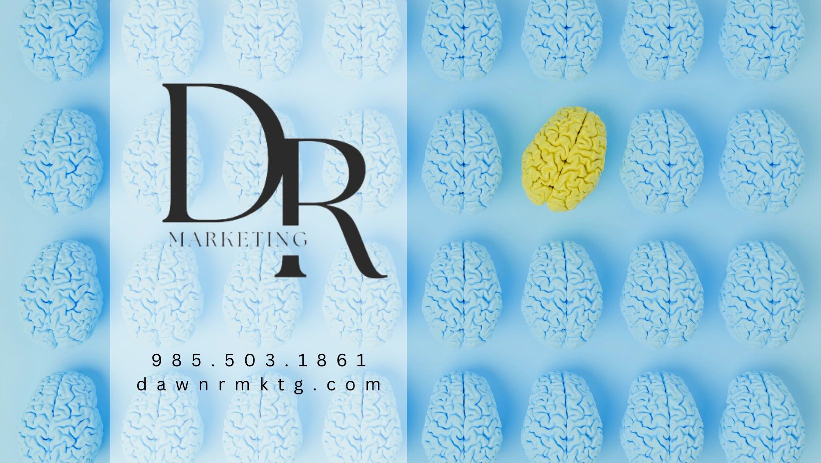 Gallery | Dawn Rivera Marketing LLC