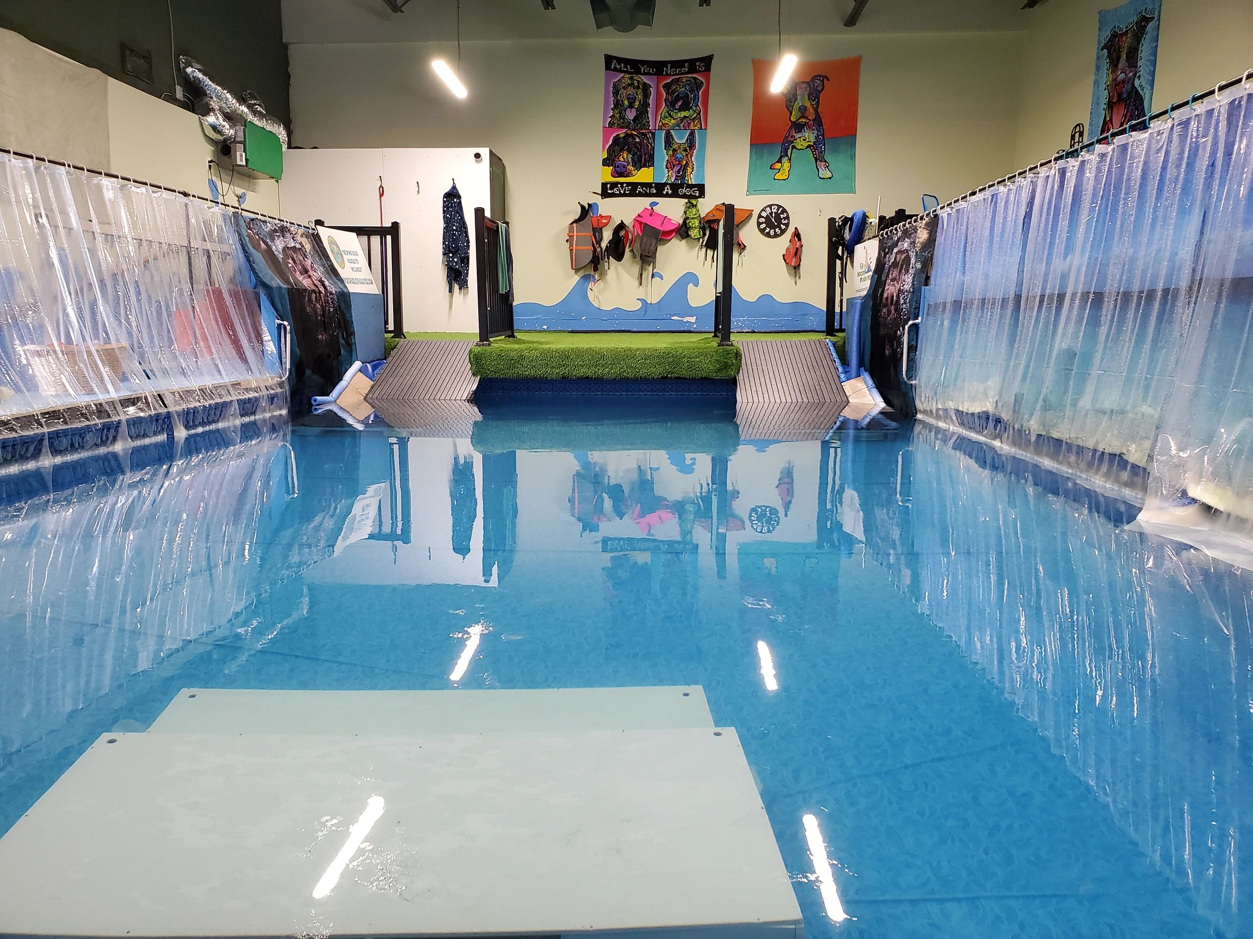 The Indoor Dog Pool & Fitness Centre Inc.