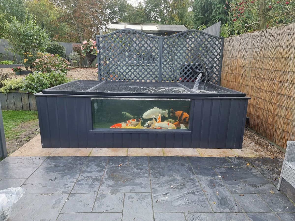 Grey pond 12ft x 10ft x 4ft with viewing window.