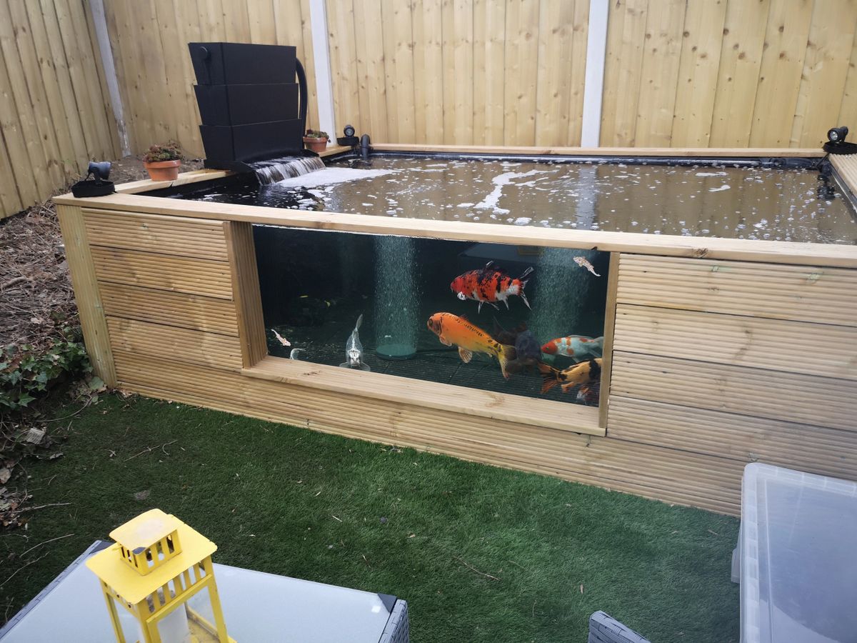 Deck pond 10ft x 6ft x 3ft